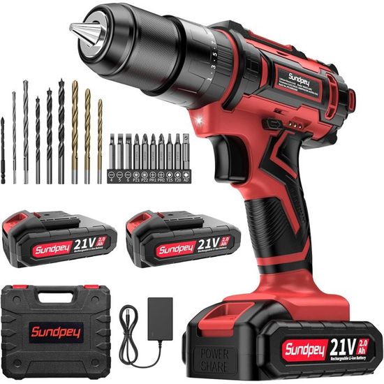 Perceuse Visseuse Sans Fil avec 2 Batteries 2,0Ah, 45Nm Perceuse ...