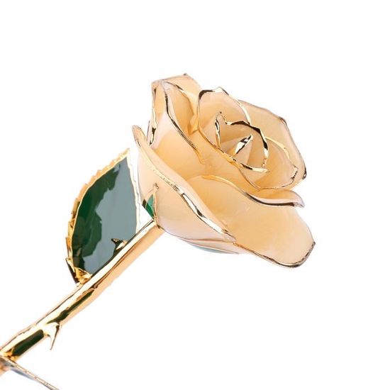 Fdit fleur trempée Longue tige or 24 carats trempé fleur Rose poignée ...