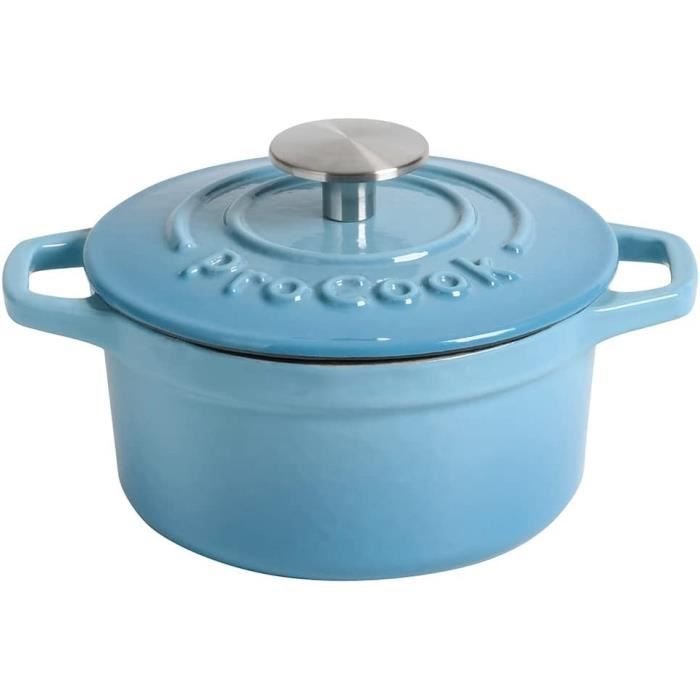 Mini Cocotte Ronde avec Couvercle - Marmite Faitout en Fonte Émaillée ...