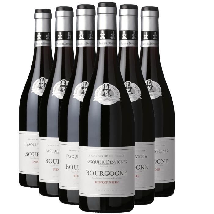 Bourgogne Pinot Noir Rouge 2019 - Lot de 6x75cl - Domaine Pasquier ...