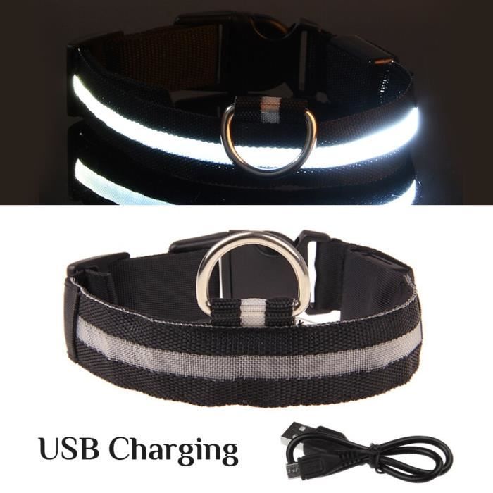 Led Dog Collar Luminous Anti-Lost Collar For Dogs USB Charging Dog ...