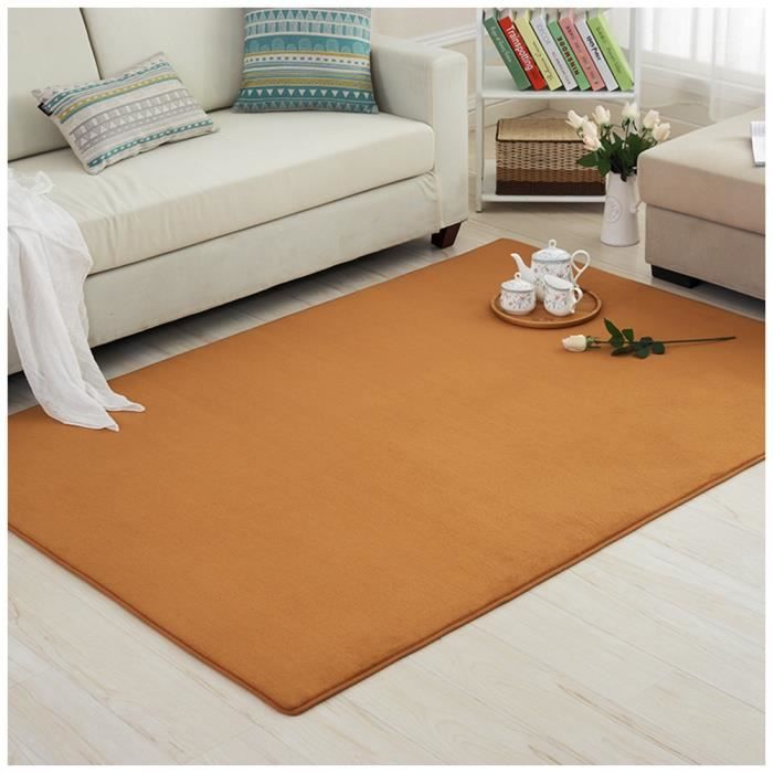 80x160cm-Tapis pour pour Chambre à Coucher Moelleux et Super Doux ...