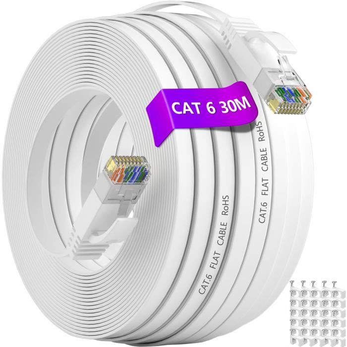 Cable Ethernet Cat 6 30m, Câble Réseau RJ45 30m Blanc Extérieur UTP ...