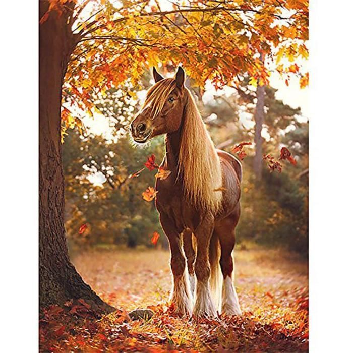 Peinture au Numero DIY Cheval Paint by Number Kit Peinture Par Numéros ...