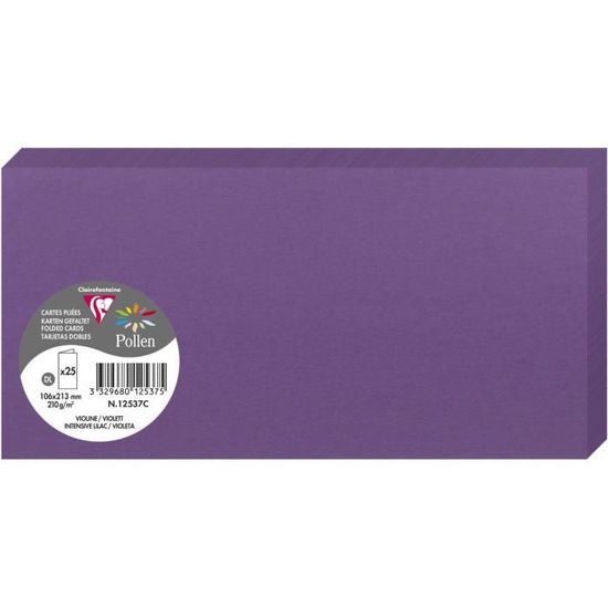 12537C - Paquet De 25 Cartes Doubles - Format Dl 10,6X21,3Cm - 210G-M² ...