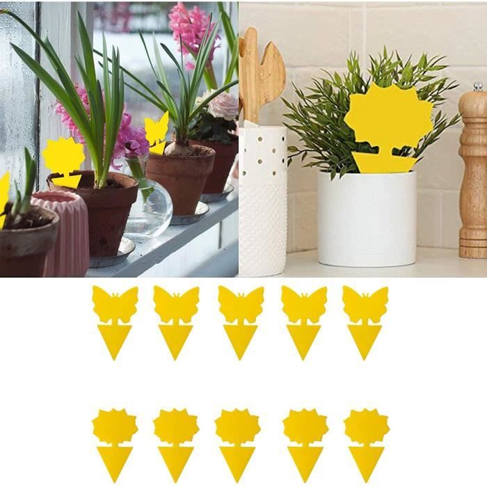 Piege Anti Moucherons Plantes Interieur | Attrape Moucheron Maison ...