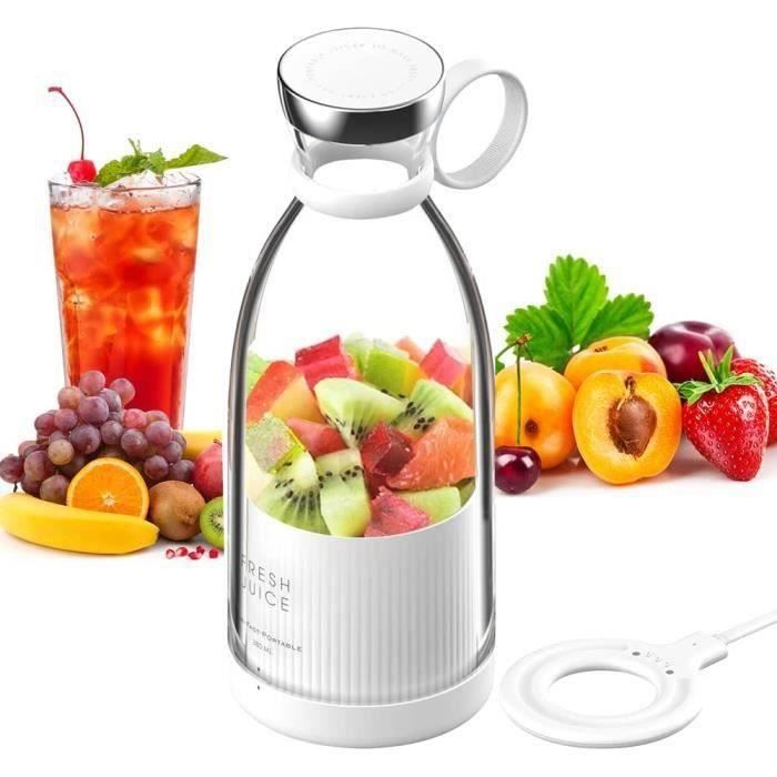 Blender Portable, 350ml Mixeur Portable, multifonctionnel mini Blender ...