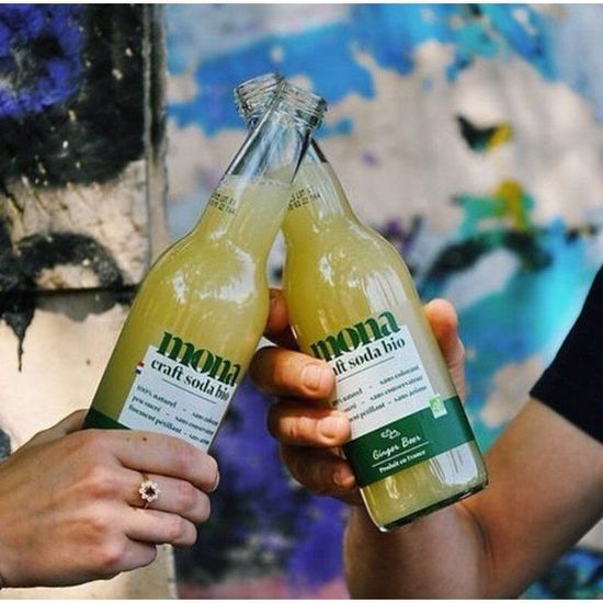 MONA GINGEMBRE BIO (GINGER BEER) 12*330ml - Cdiscount Au quotidien