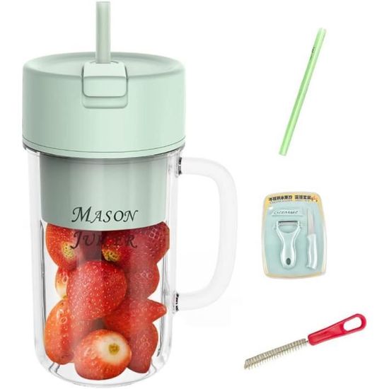 Blender Électrique Mini 500 Ml, Mélangeur Smoothie Portable ...