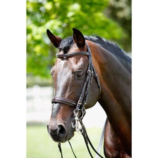 Bridons pour cheval mors et filet frontal vernis Tattini - noir - Full ...