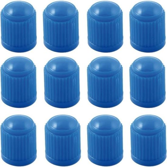 Lot De 100 Bouchons De Valve Pour Valves De Voiture, Valves De Vélo ...
