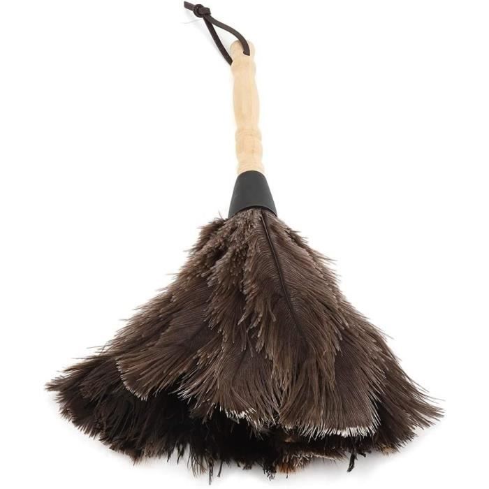 Plumeau D'autruche, Plumes D'autruche Véritables Naturelles Moelleuses ...
