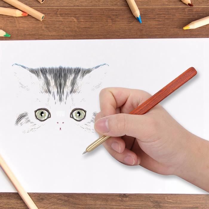 TMISHION stylo à gratter vierge 1Pc Cheveux Peinture Scratch Pen Bois ...