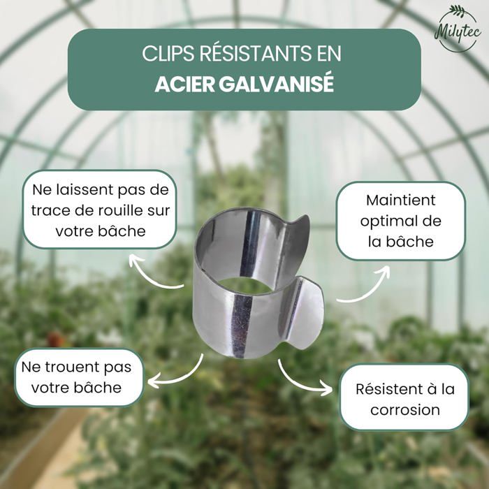 Milytec Lot de 50 Clips pour Serre 25 mm en Acier Galvanisé, Fixation ...