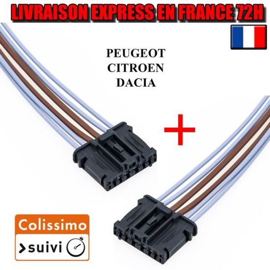 LOT2 Connectique feux arrières Connecteur pour Peugeot 207 307 Citroen ...