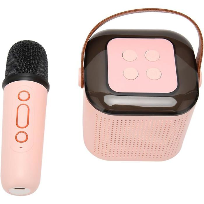 Machine Karaoké Bluetooth avec 1 Micro Sans Fil, Enceinte Portable 5,3 ...