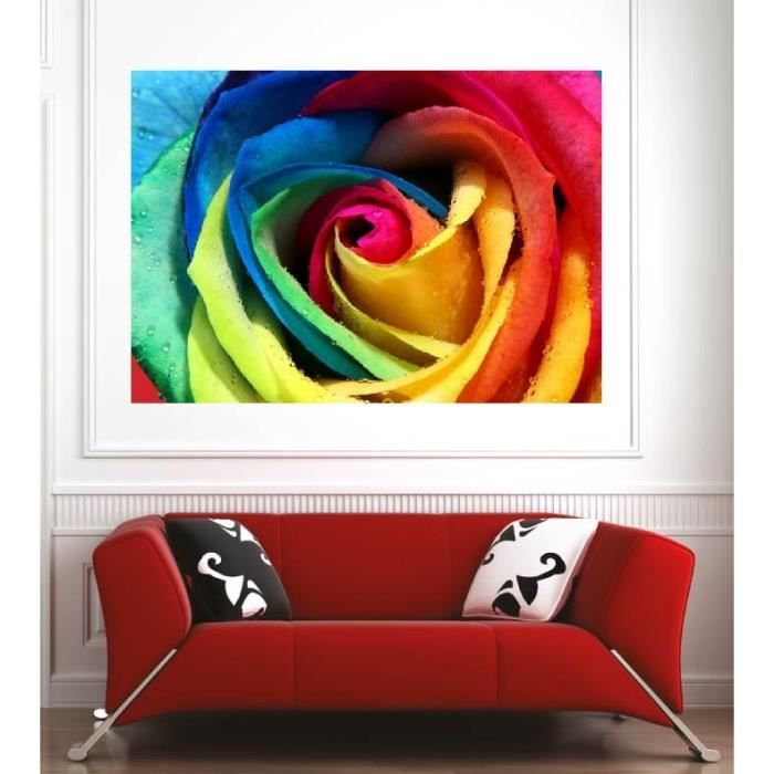 Affiche poster fleur multicolore - dimensions affiches:106x70cm ...