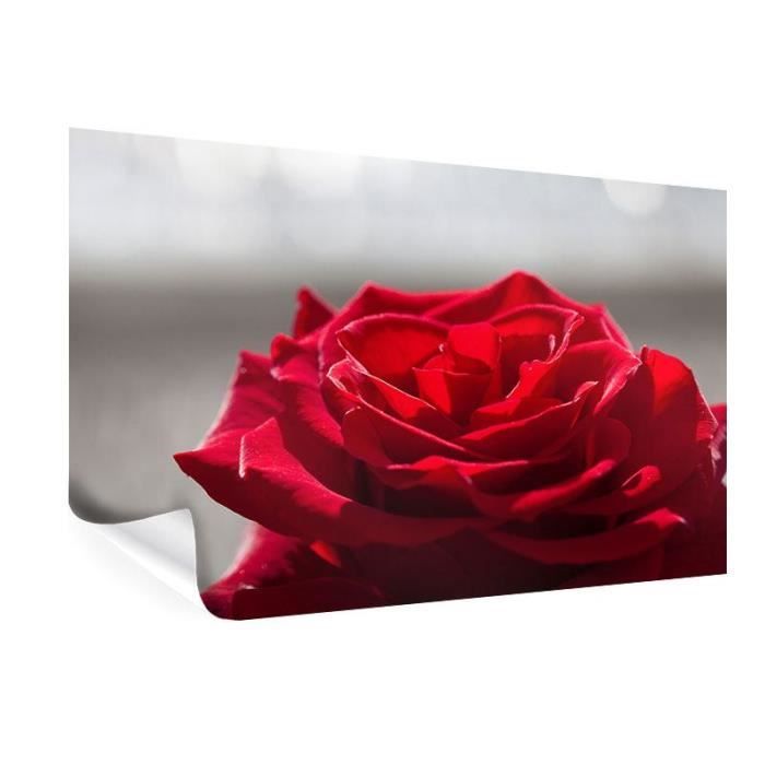 Poster Roses rouges 90 x 60 cm - Cdiscount