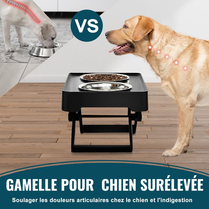 Bol pour animaux - XINXU - Gamelles double - Acier inoxydable ...