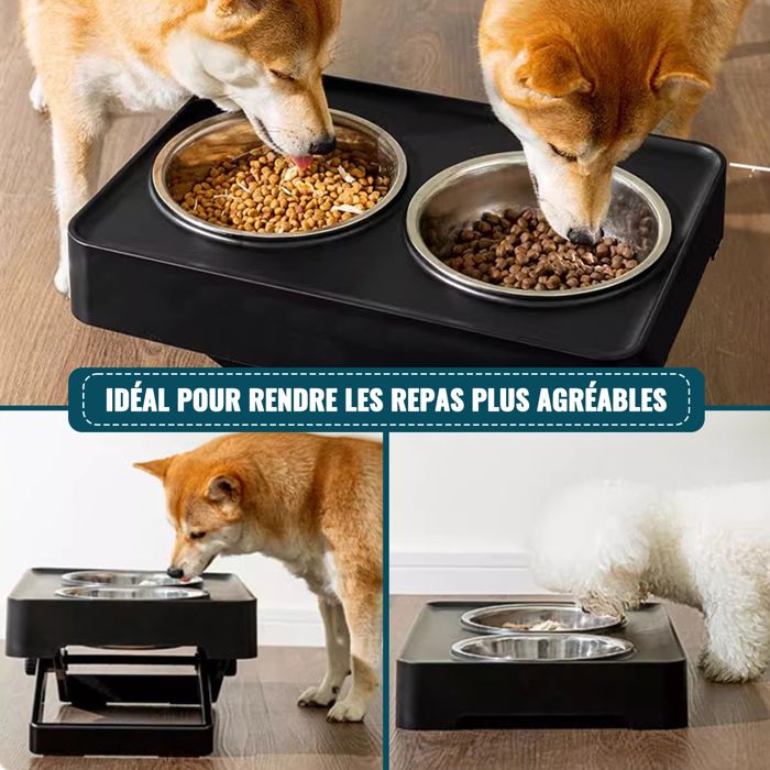 Bol pour animaux - XINXU - Gamelles double - Acier inoxydable ...