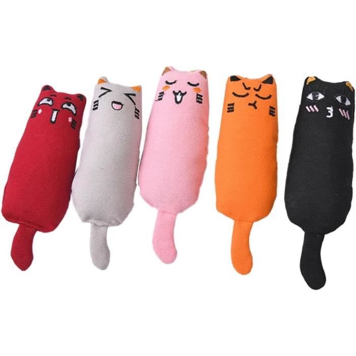 5 Pièces Ensemble De Jouets Pour Chat Jouet Pour Chat Jouet Pour Chaton ...