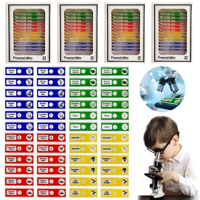 48 pièces Lames Microscope Enfant Préparées, Spécimens de Plantes, d ...
