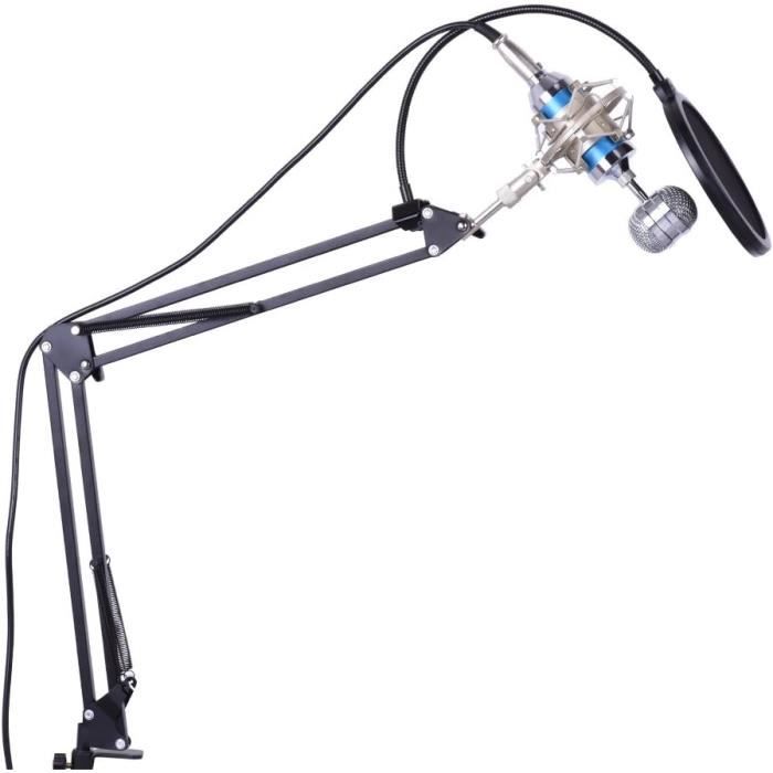 Microphone, Professional Studio Broadcasting Recording Condenser ...