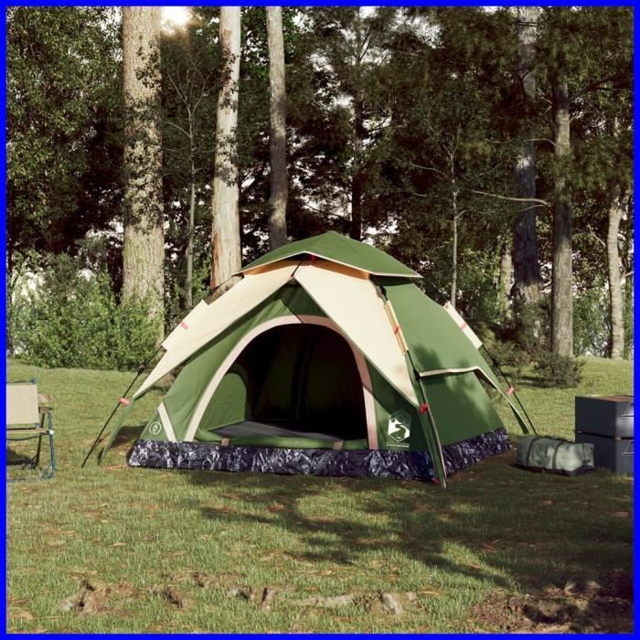 DXBK Tente de camping à dôme 3 personnes vert libération rapide 4004177 ...