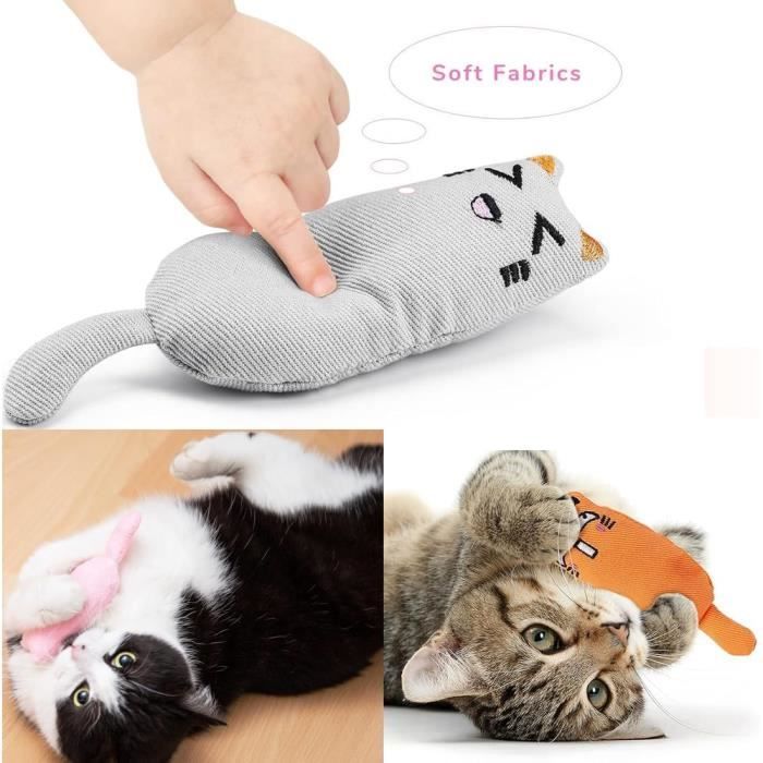 5 Pièces Ensemble De Jouets Pour Chat Jouet Pour Chat Jouet Pour Chaton ...