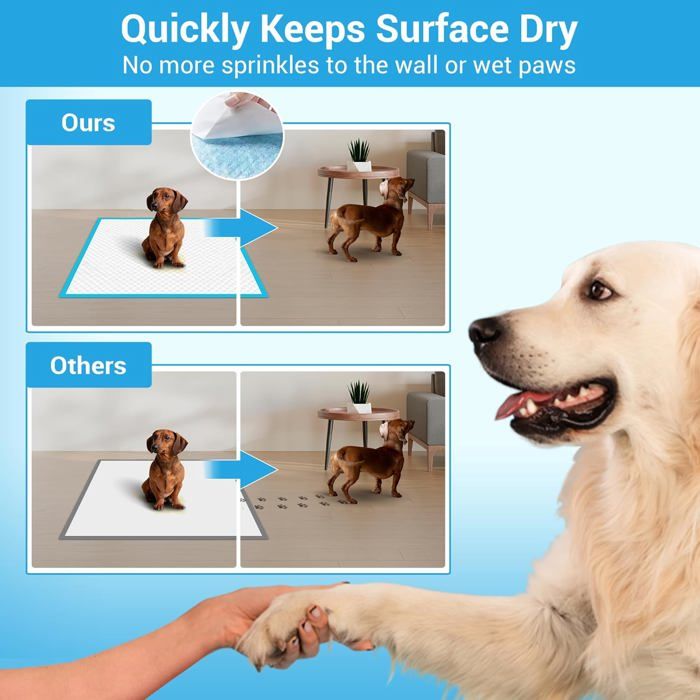 Alese jetable Alaise pour Chien Alese Jetable 33x45 100 Alese Chien ...