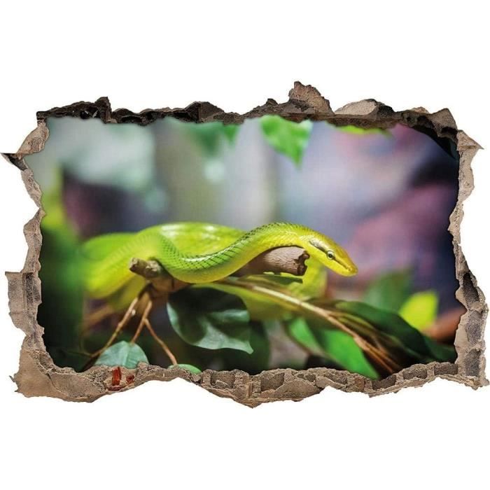 3D Stickers Muraux Percée De Mur De Serpent Vert Rugueux Dans Le Look ...
