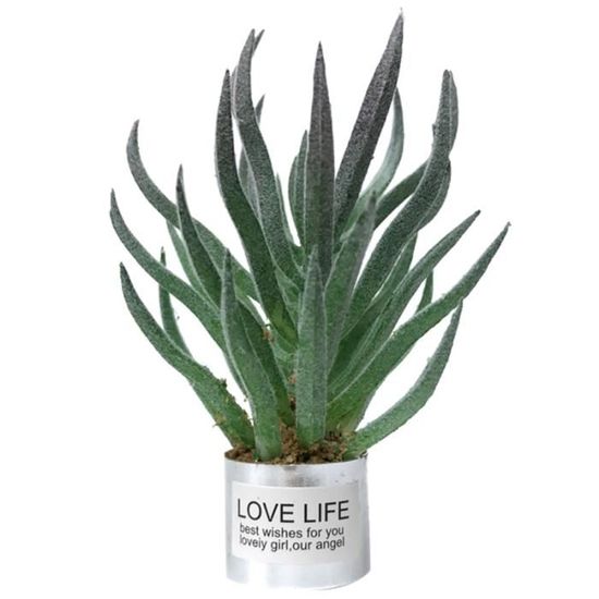 1PC Mini House Iron Pot Green Plants Model Fragrant Thoroughwort Decor ...