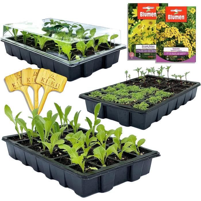 Mini-serres pour semis - 72 Compartiments pour Vos semis. Ensemble ...