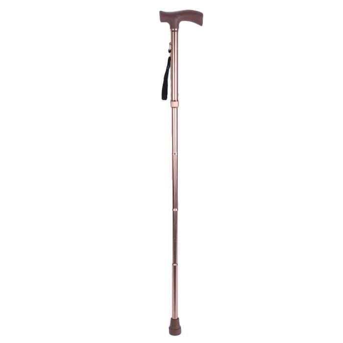 PIN Bâton De Marche Compact Pliable Et Léger - Bronze 131099 ...