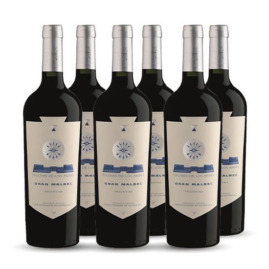 Flechas - Gran Malbec Rouge 2013 6x75cl - La cave Cdiscount