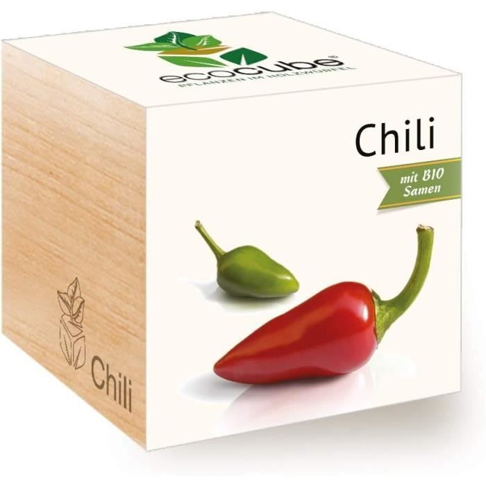 296237 Ecocube Chili, Certifié Bio, Idée Cadeau Durable (100% Eco ...