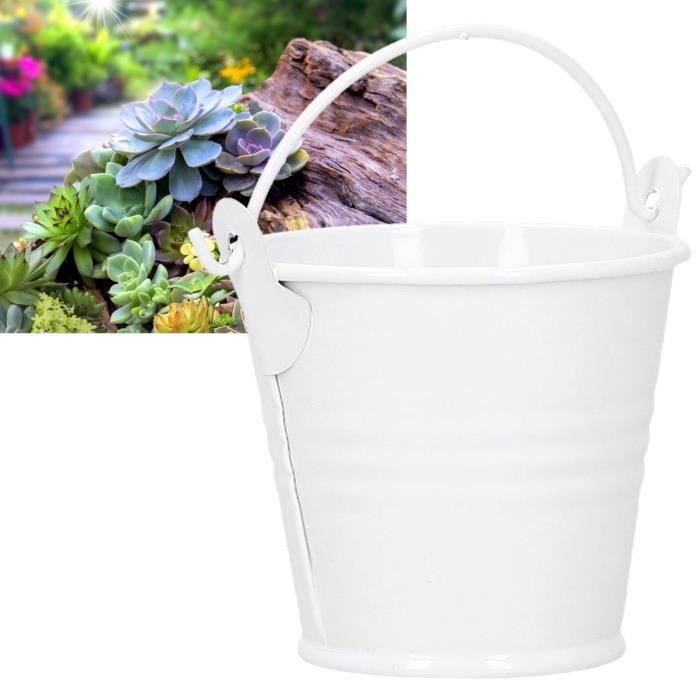 Pot de fleurs en fer PWSHYMI - Blanc - Mini Pot de Plantes Succulentes ...