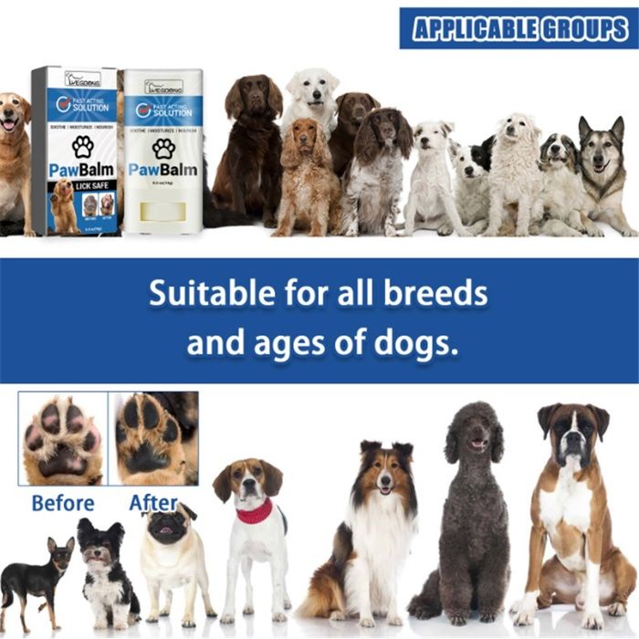 Baume Patte de Chien Baume Coussinet Chien & Chat,Baume Hydratant pour ...