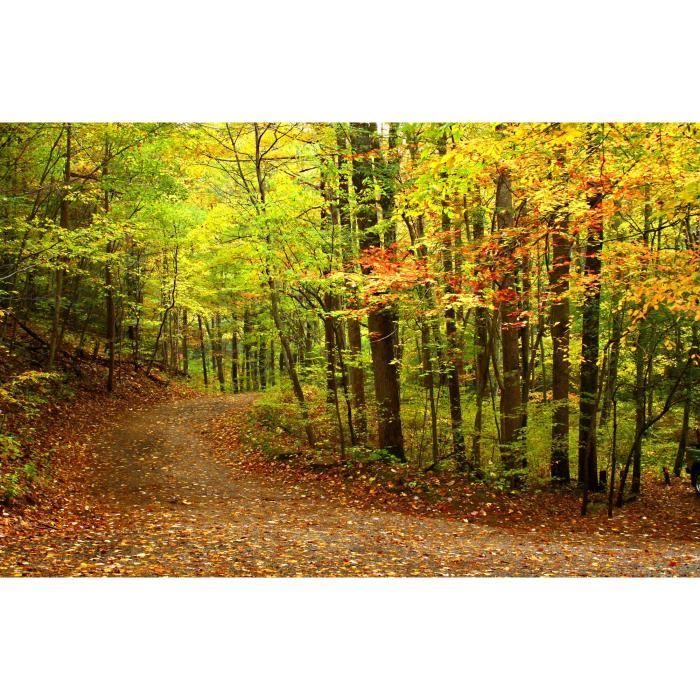 Papier Peint Photo Murale Mur INTISSÈ (5815) FORÊT D'AUTOMNE-400x260cm ...