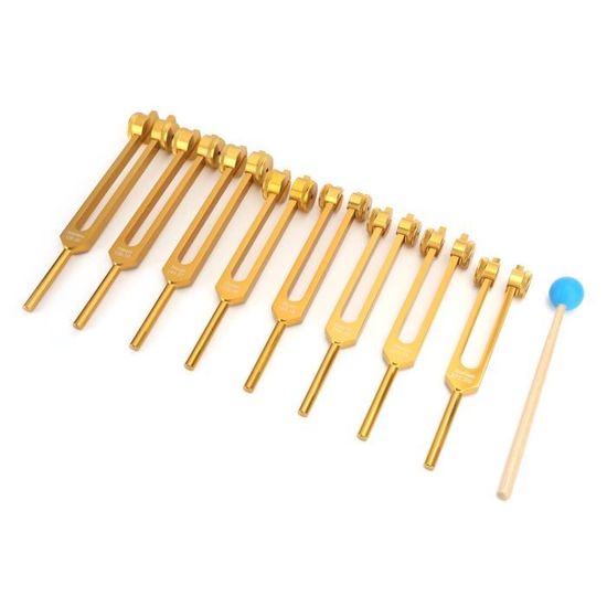 Vvikizy Ensemble de 8 diapasons en alliage d'aluminium pour thérapie du ...