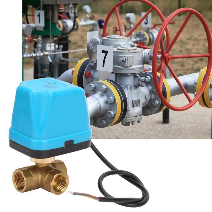 Cikonielf Robinet à tournant sphérique électrique AC220V Blue Shell ...
