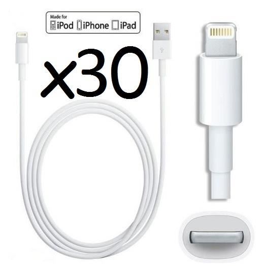 Lot de 30 Cables Lightning Iphone Apple 10 pcs , iphone 5 , iphone 5s ...