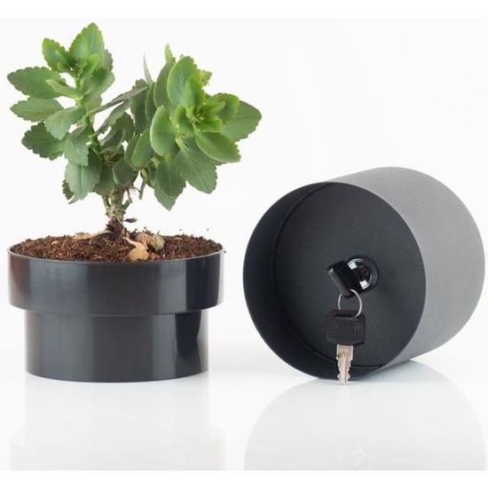 Coffre-fort en forme de pot, camouflé avec clé, 3 couleurs[S126 ...