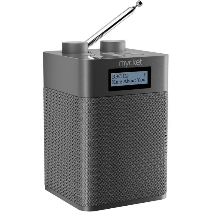 Dab-Dab+ et FM Radio Numérique, Radio Dab Portable, Lecteur MP3 USB ...