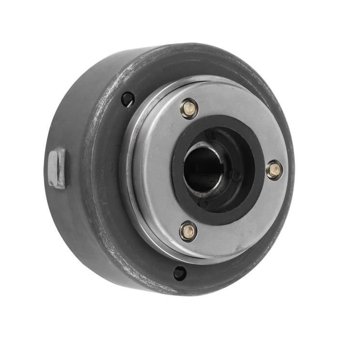 Dilwe Rotor de magnéto Rotor de Moteur Rotor Magnéto pour Moteur à ...