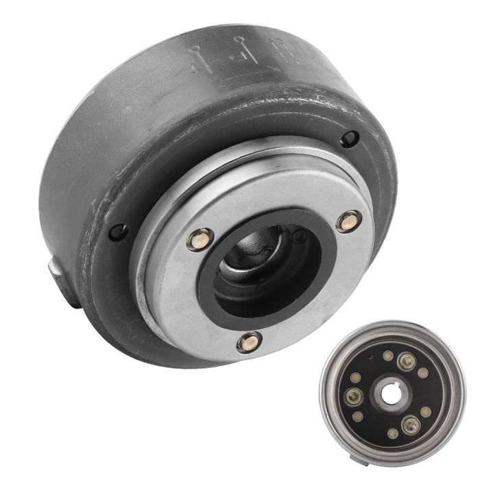 Dilwe Rotor de magnéto Rotor de Moteur Rotor Magnéto pour Moteur à ...