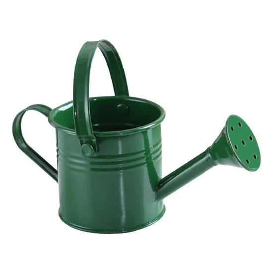 Arrosoir portable en fer forgé avec poignée,pulvérisateur de plantes ...