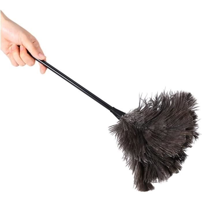 Plumeau Dusters De Plumes De Plumeau Noir Avec Longue Pinceau De ...