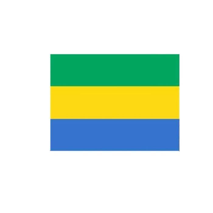 Drapeau Gabon 90X150Cm Drapeau Gabonais 3X5Ft Polyester 90G Avec ...