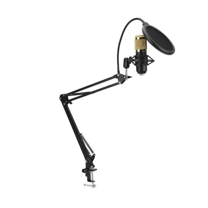 Curieux-Micro d'ordinateur USB RVB USB Microphone Ordinateur ...